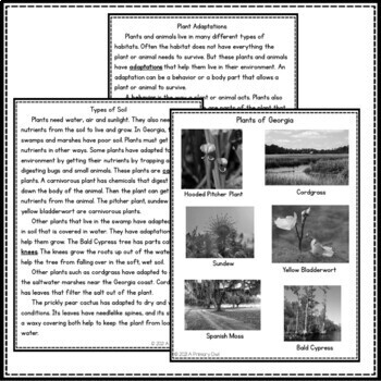Adaptations of Living Things Georgia Plants and Animals Unit - A ...
