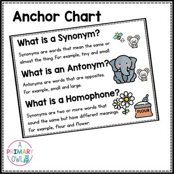 Grammar Sort Synonyms Antonyms Homophones Winter Theme - A Primary Owl