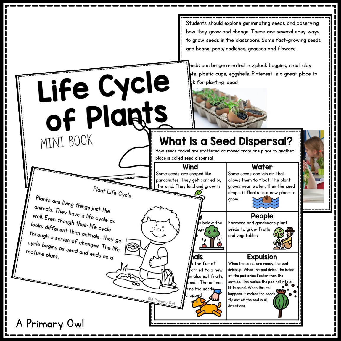 Life Cycles Unit Second Grade Sequencing Cards STEM Projects Mini Books ...