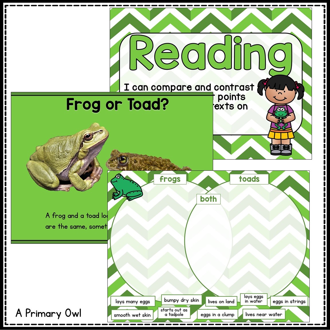 March Digital Emergency Sub Plan Second Grade - A Primary Owl