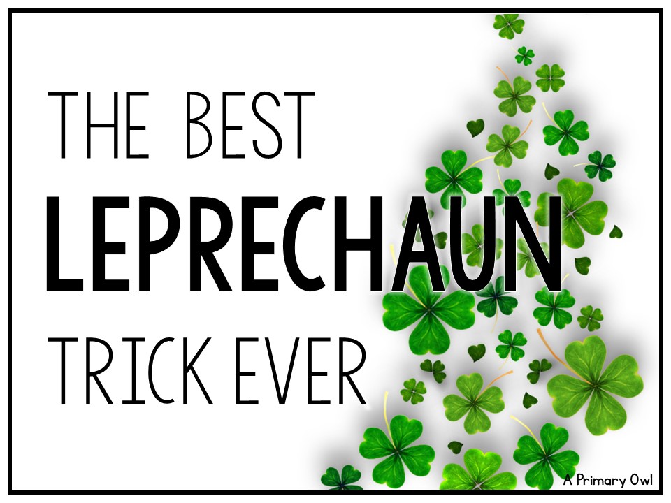 The BEST Leprechaun Trick Ever - A Primary Owl