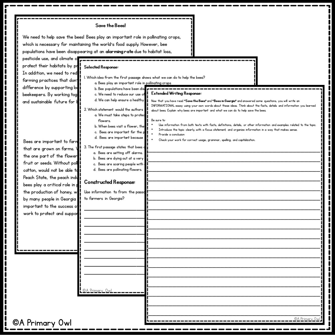 Test Prep Informational Writing Prompts GMAS Practice - A Primary Owl